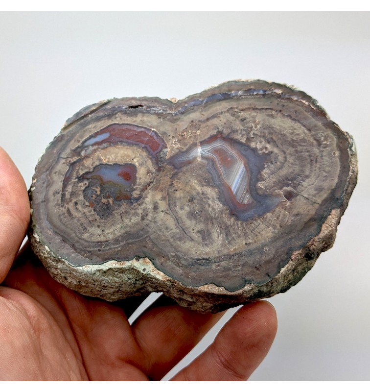 Lithophyse, Esterel, France, 255 grams