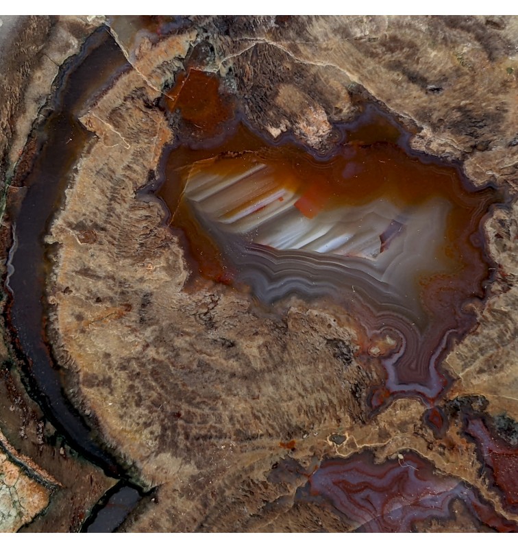 Lithophyse, Esterel, France, 255 grams