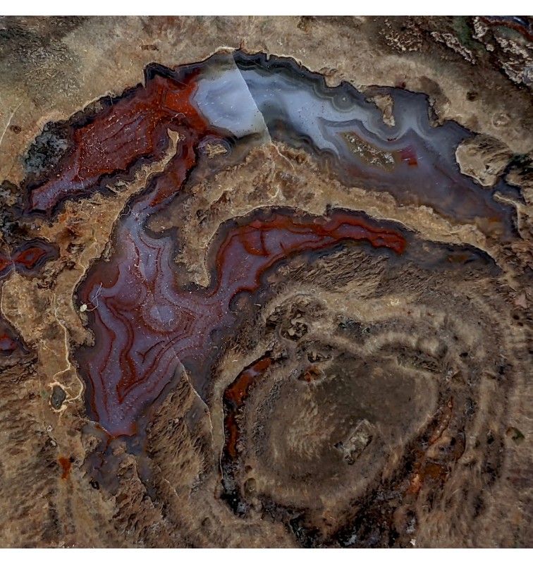 Lithophyse, Esterel, France, 255 grams