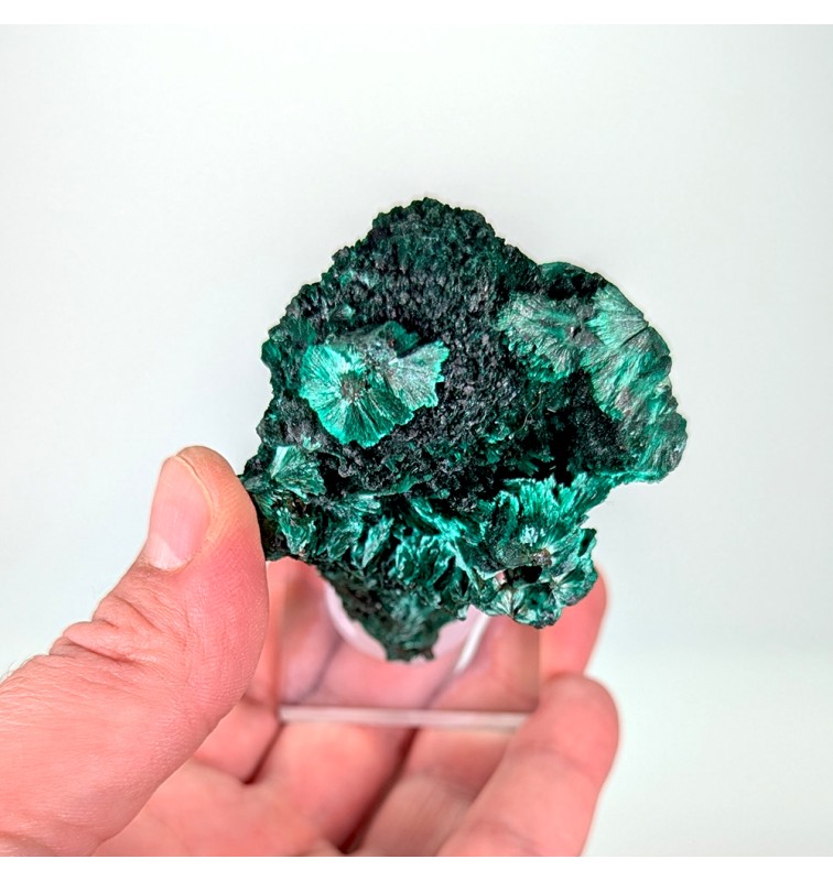 Malachite, Mindigi Mine, Congo, 170 grams