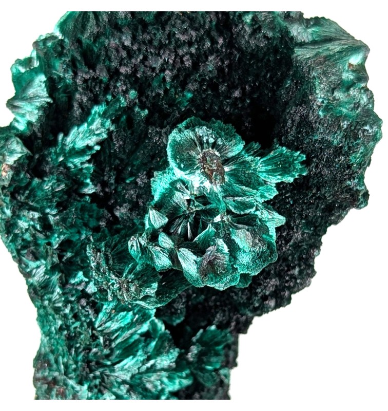Malachite, Mindigi Mine, Congo, 170 grams